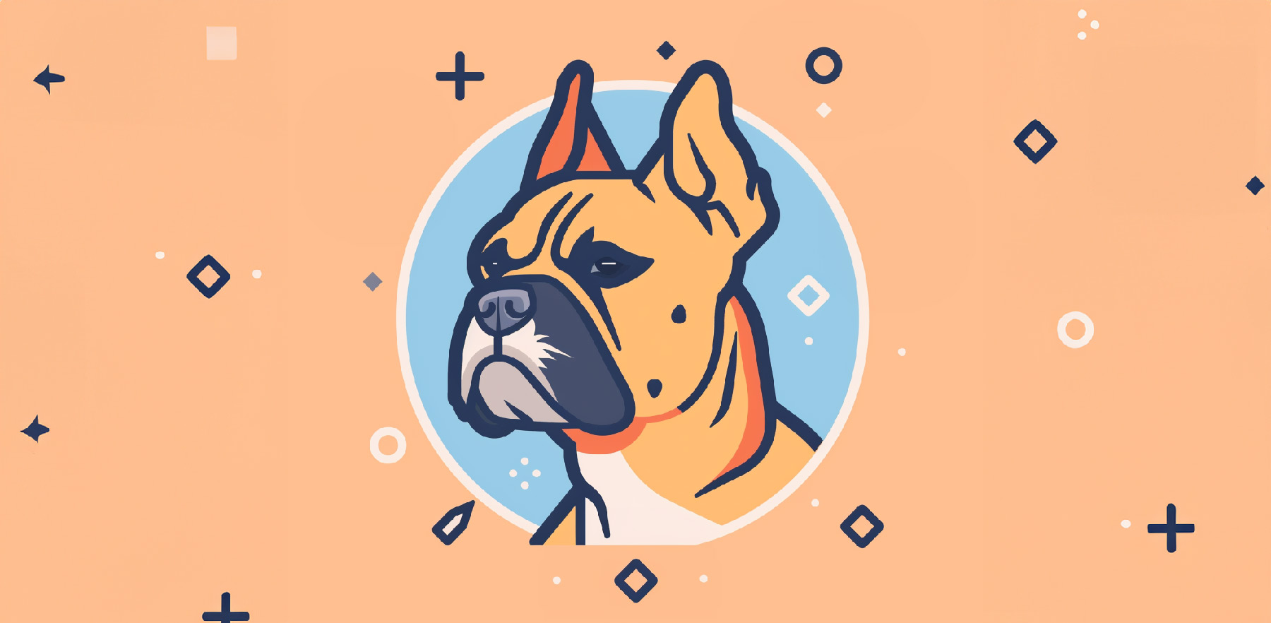 Vector logo. What is it and do you need one? - Logo designer in Auckland